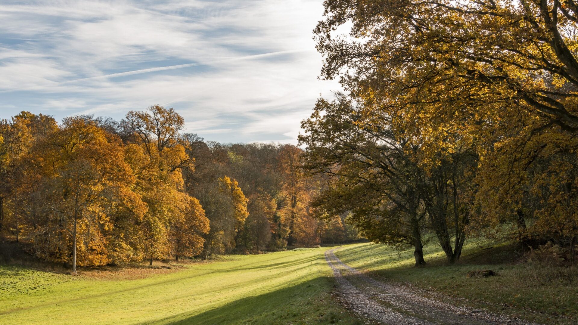 Ashridge Estate, Berkhamstead – Jan 2023 | Oshwal Association of the U.K.